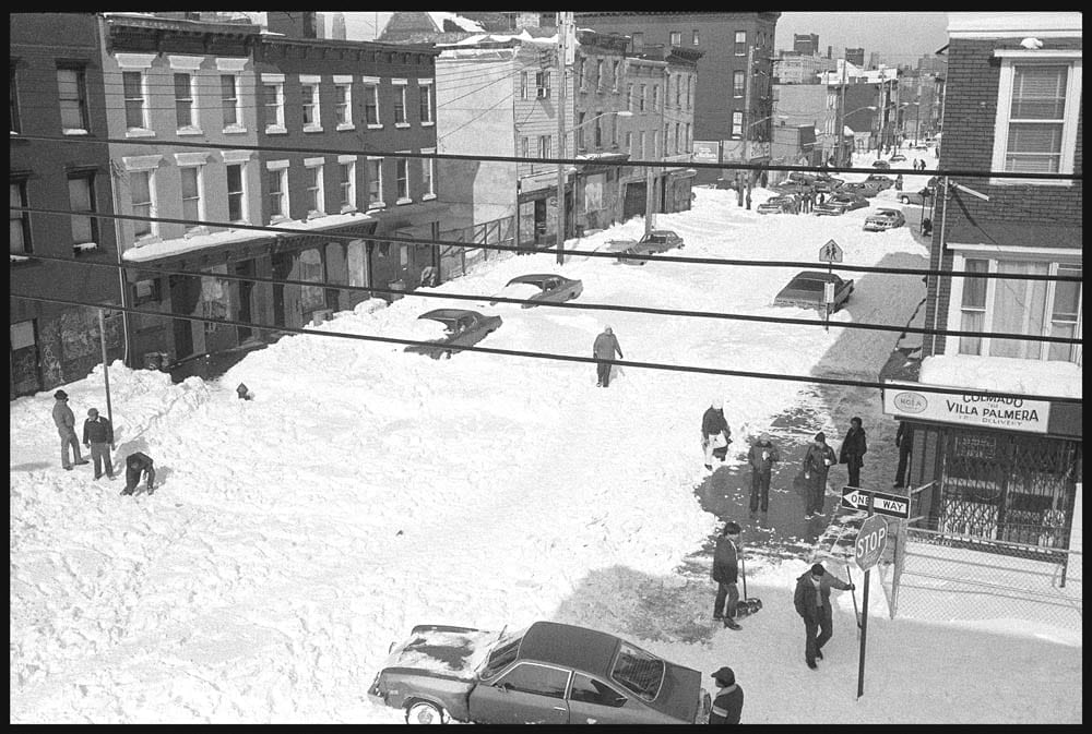 The Red Hook Archive - Janet Neuhauser